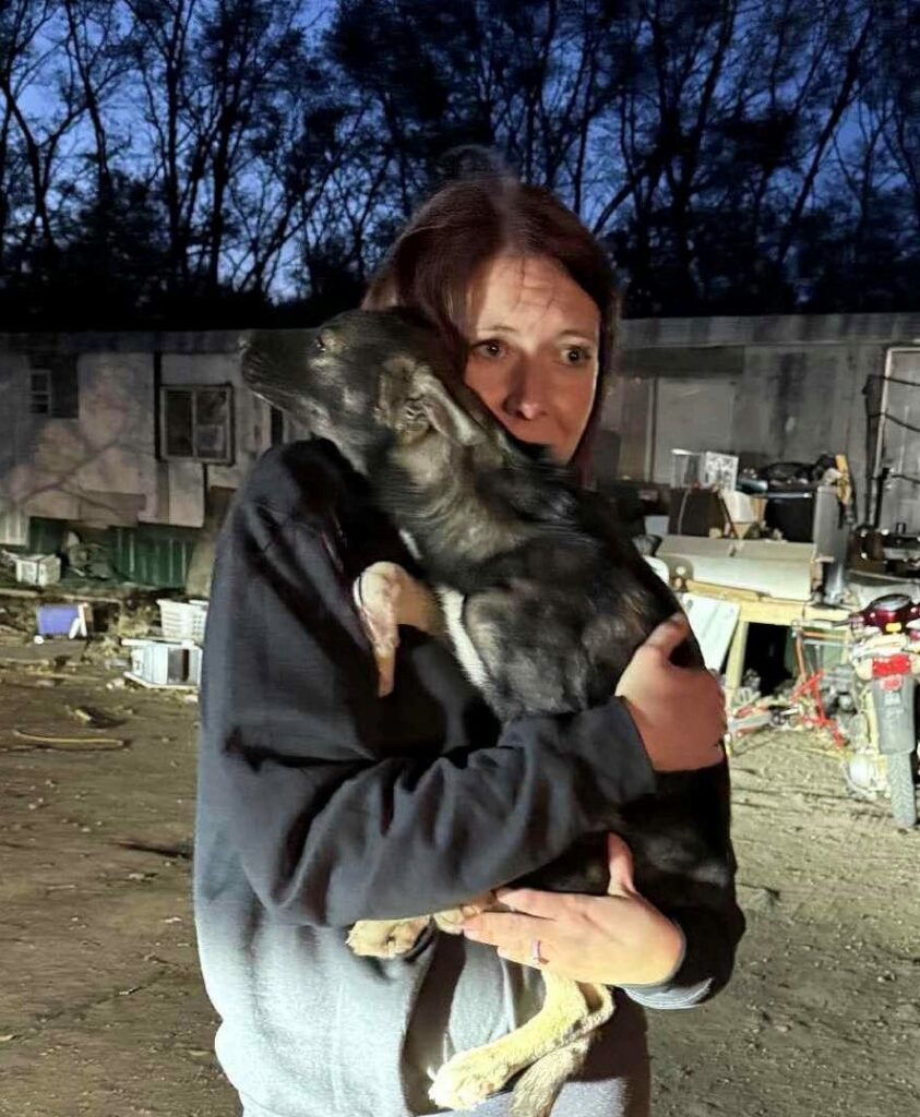 Adoptable Dogs - Rescue Network